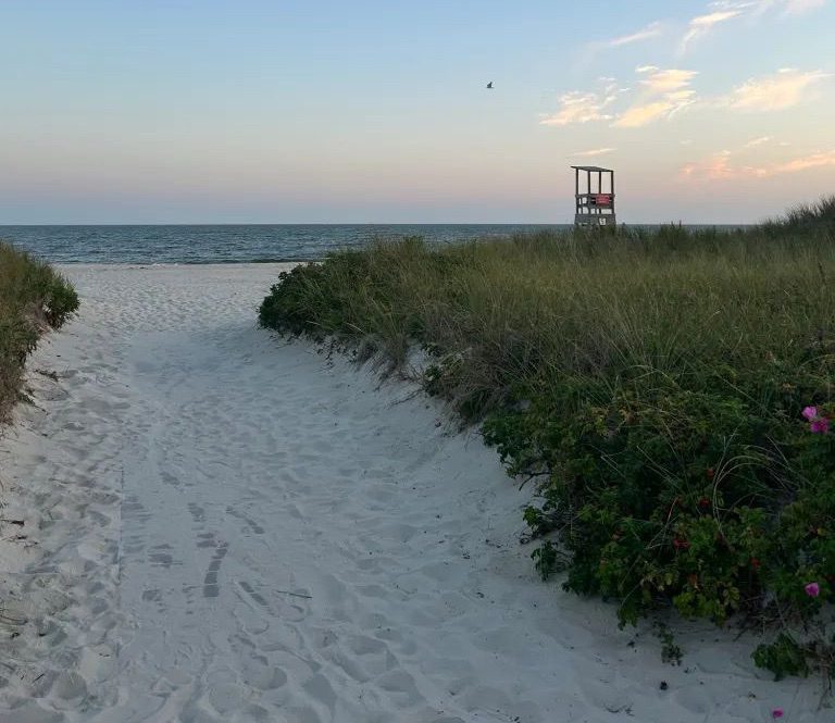 Things to do in Cape Cod with kids: complete family guide (2026)